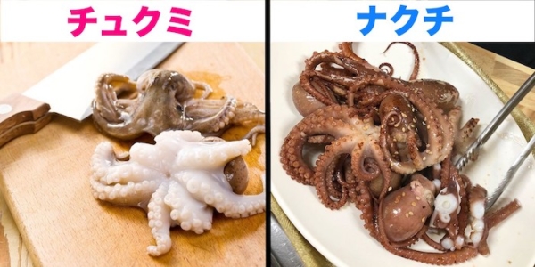 韓国料理チュクミとは？ナクチとの違いや美味しい食べ方も紹介します